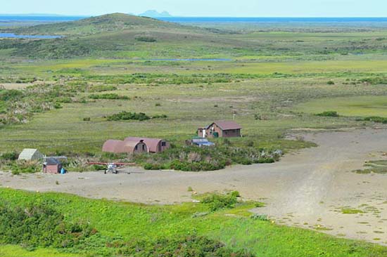 Grizzly Skins Alaska - Island Air Service